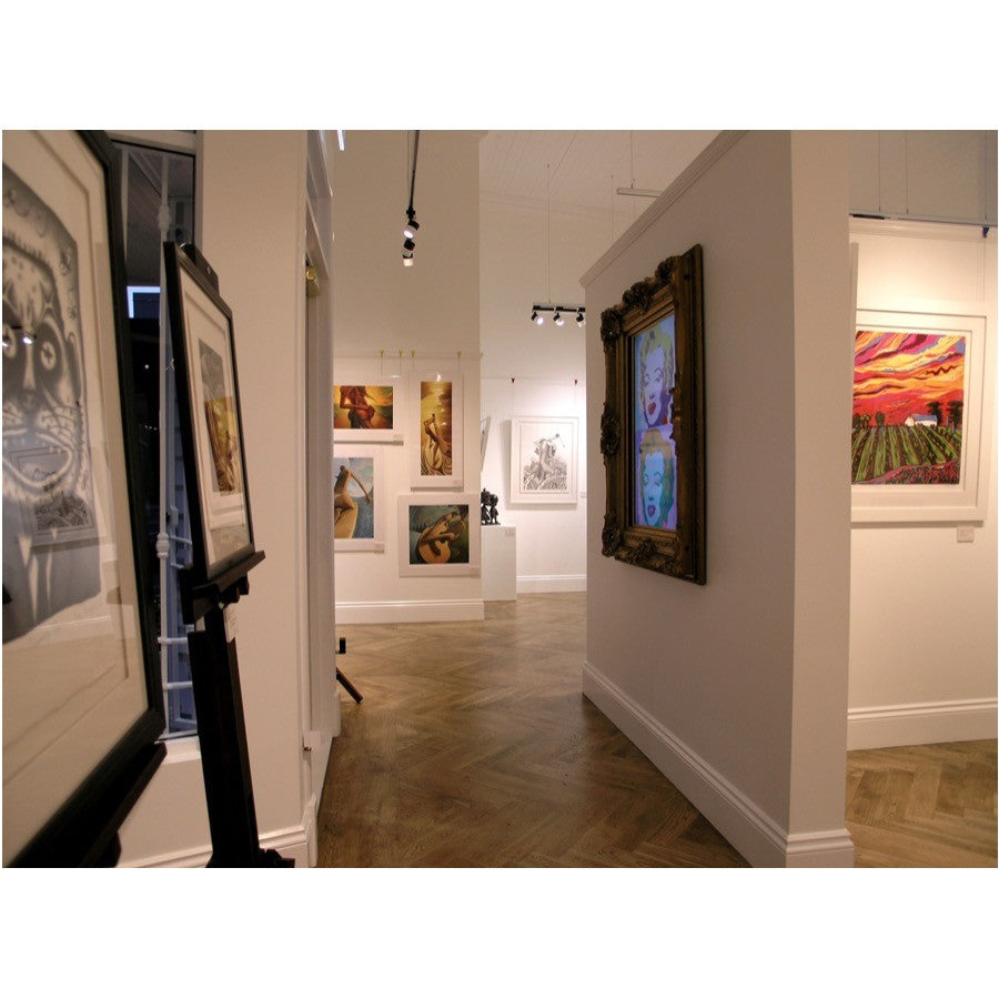 Victorian Range – Picture Hanging Systems Pty Ltd